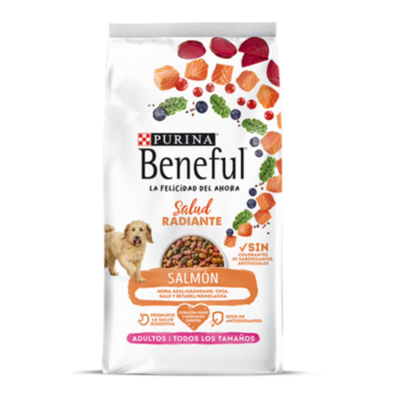 Beneful Salmón 10 Kg – Tienda Distribuidora El Tio
